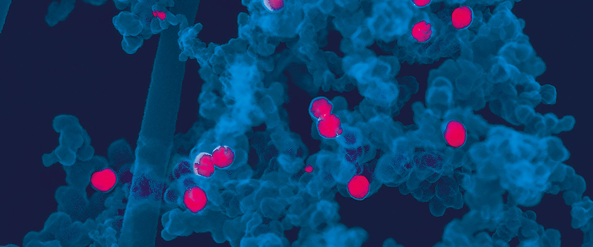 Heterogeneous catalyst portfolio | Johnson Matthey | Johnson Matthey