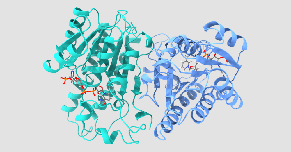 Alcohol dehydrogenase enzyme (keto reductase) | Johnson Matthey ...